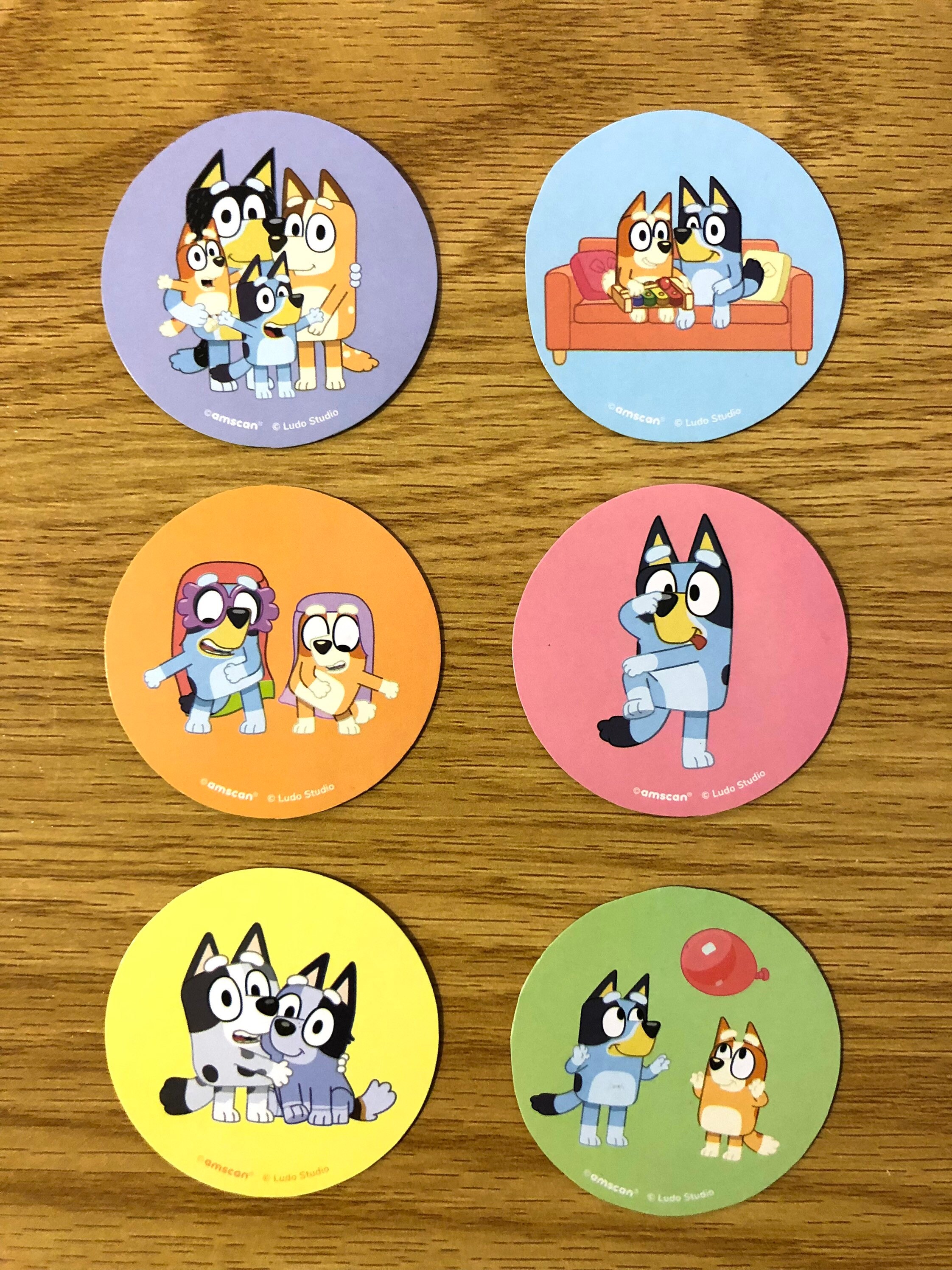 Bluey Magnets 1 | Etsy