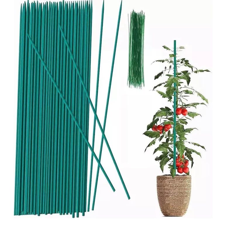 Bamboo Sticks - Etsy UK