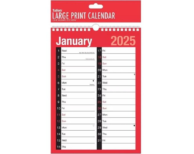 2025 Large Easy Month to View A4 Planner Wall Calendar One Month to ...