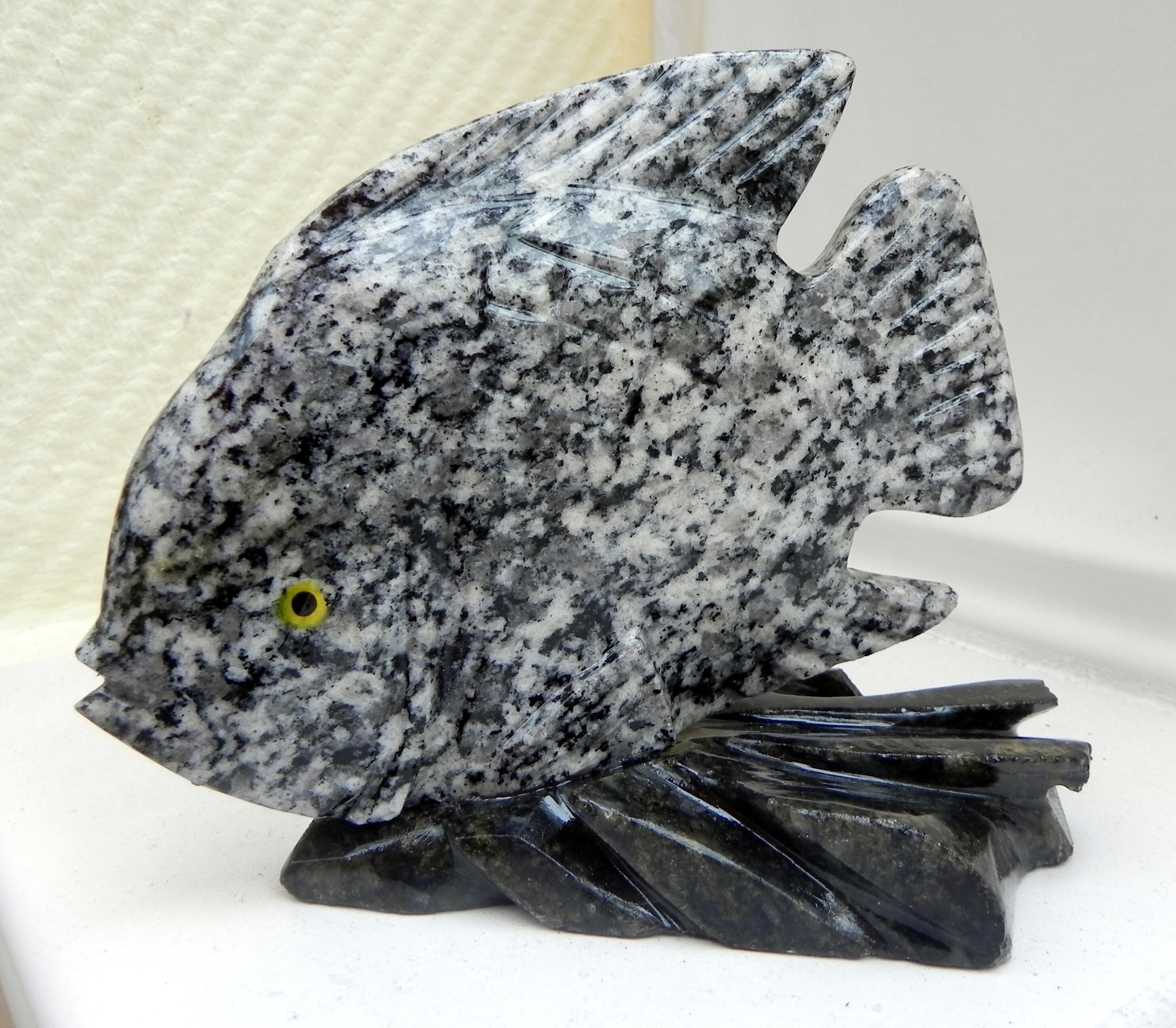 Dark Grey Fish