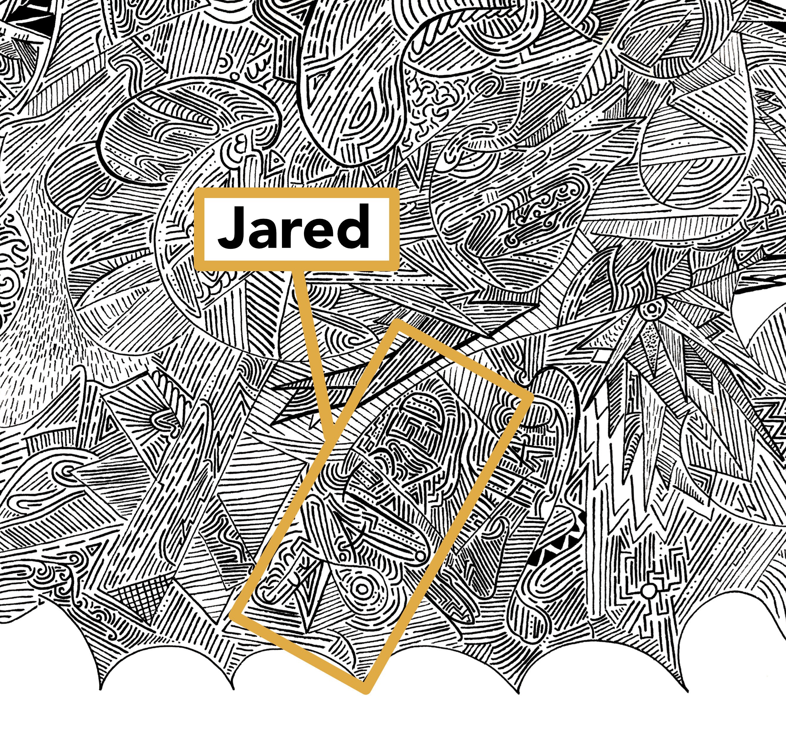 Hidden Pictures Within Drawings