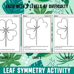 Leaf Symmetry Worksheet, Leaves Theme Lines of Symmetry Activity, 24 ...