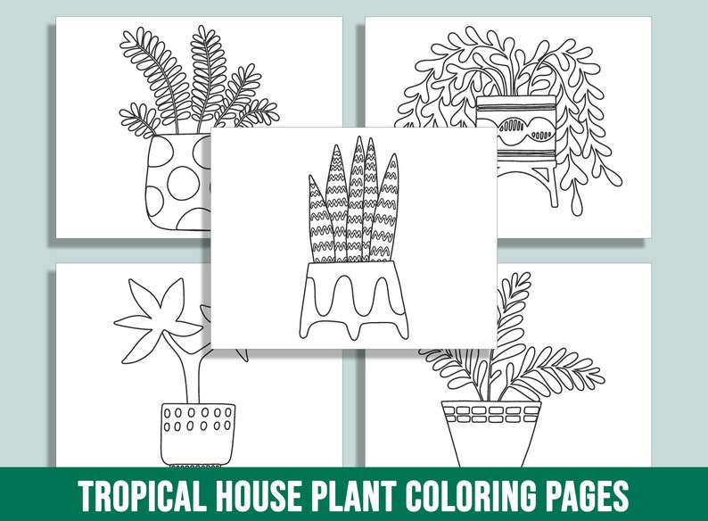 Tropical House Plant Coloring Pages: 30 Botanical Coloring Book Designs ...