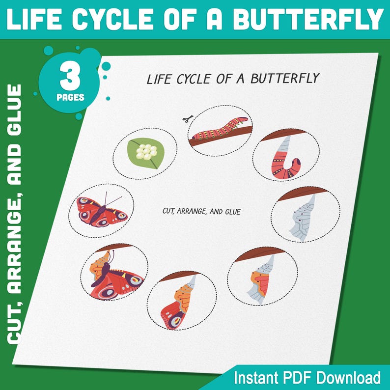 Life Cycle of a Butterfly Activity: Cut, Arrange, and Glue 8 Stages of ...