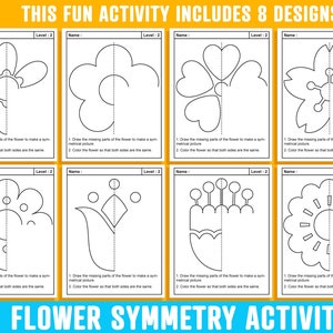 Flower Activities, Lines of Symmetry, Spring/summer Flower Symmetry ...