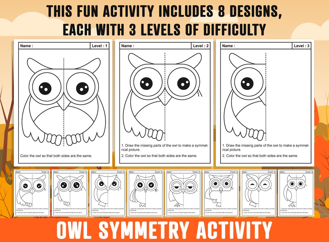 Owl Symmetry Worksheet, Owl Theme Lines of Symmetry Activity, 24 Pages ...