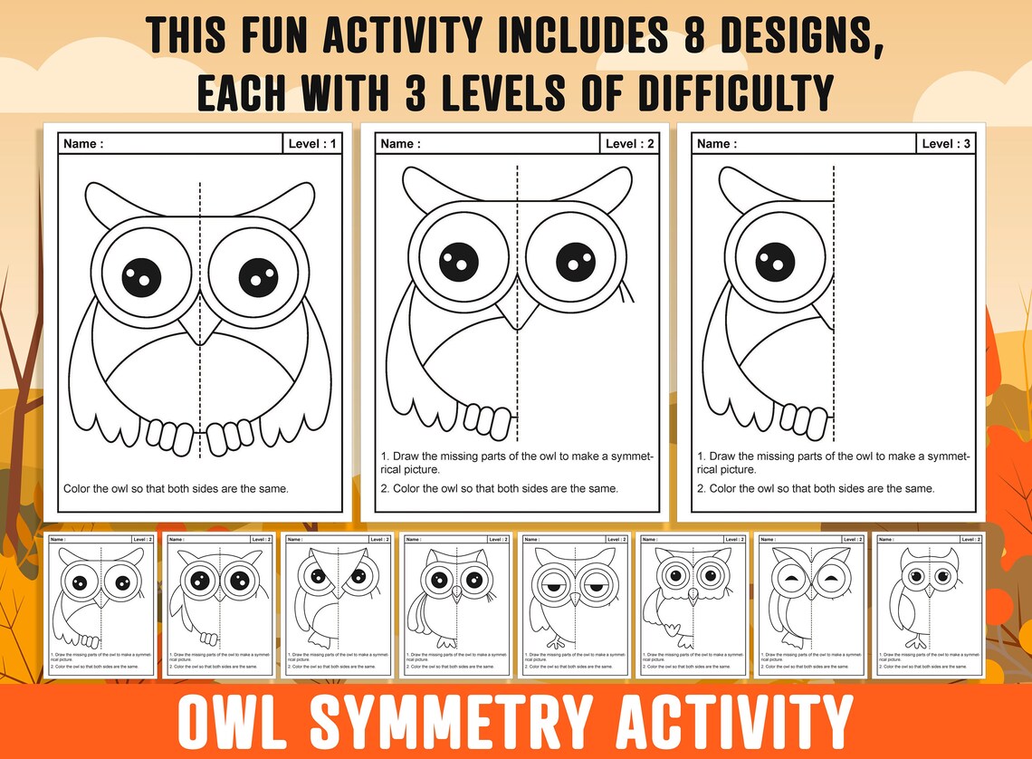 Owl Symmetry Worksheet, Owl Theme Lines of Symmetry Activity, 24 Pages ...