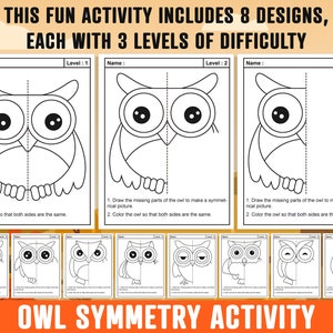 Owl Symmetry Worksheet, Owl Theme Lines of Symmetry Activity, 24 Pages ...