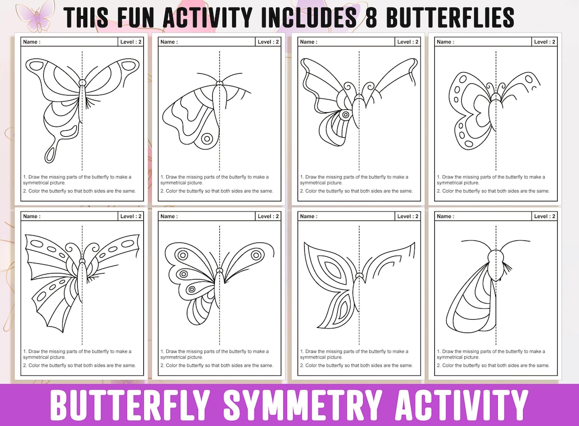Butterfly Symmetry Worksheet Butterfly Theme Lines of - Etsy