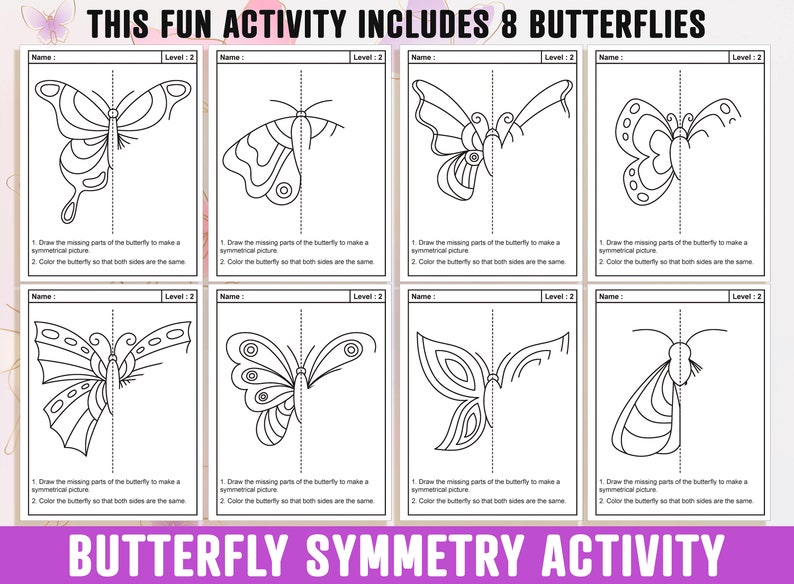 Butterfly Symmetry Worksheet, Butterfly Theme Lines of Symmetry ...