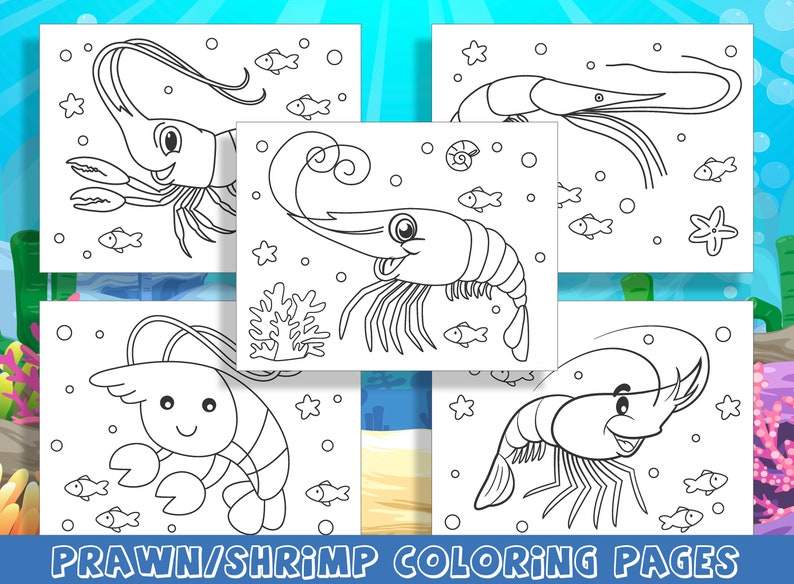 Ocean Delights: Prawn and Shrimp Coloring Adventures 15 Pages of Fun ...