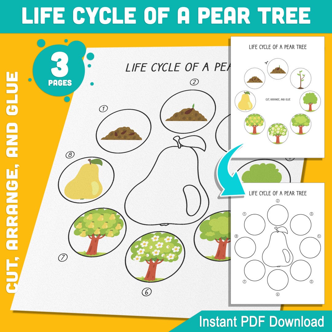 Life Cycle of a Pear Tree Activity: Cut, Arrange, and Glue 8 Stages of ...