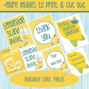 Editable Lemonade Stand Printable Kit: Summer Activity, Dramatic Play ...