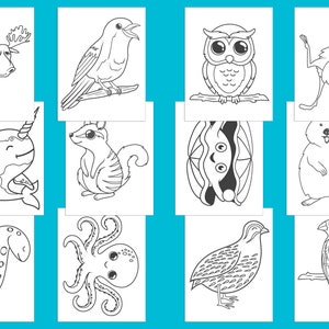 Preschool Coloring Pages 100 Printable Animal Coloring Pages for Boys ...