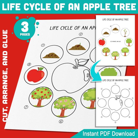 Le Cycle De Vie Des Plantes Pour Les Enfants Ief Coschooling Livres