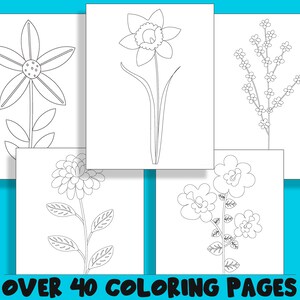 Flowers Leaves Coloring Book, 40 Printable Coloring Pages for Kids a ...
