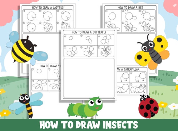 Insect Directed Drawing For Kids