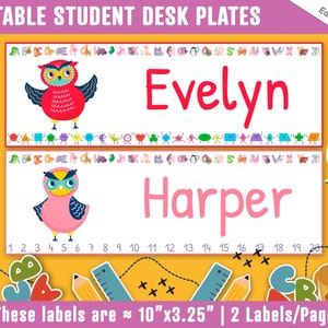 Student Desk Plates, 30 Printable/editable Cute Owls Classroom Name ...