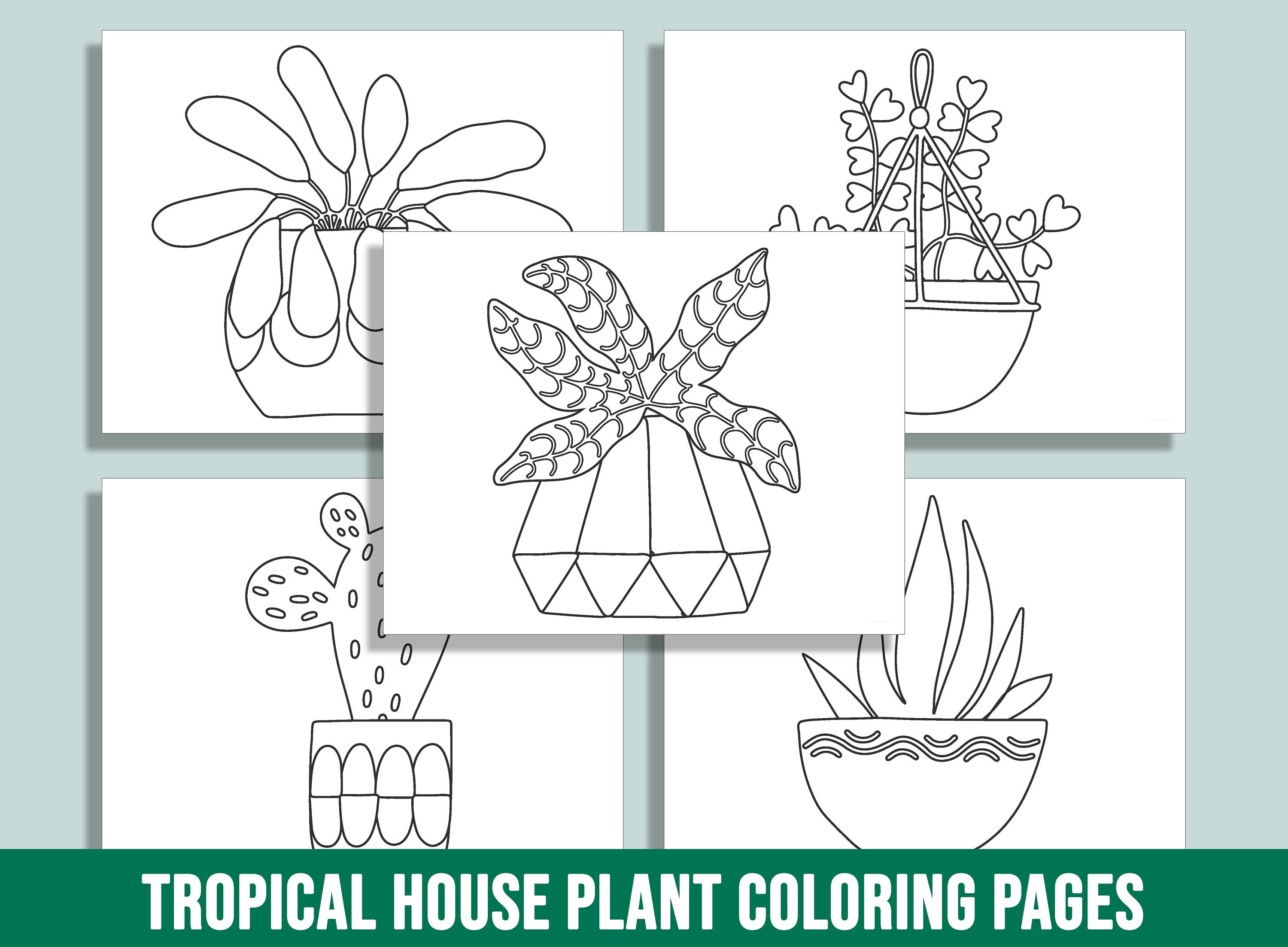 Tropical House Plant Coloring Pages: 30 Botanical Coloring Book Designs ...