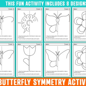 Flowers and Butterflies Line of Symmetry, Spring / Summer Butterfly ...