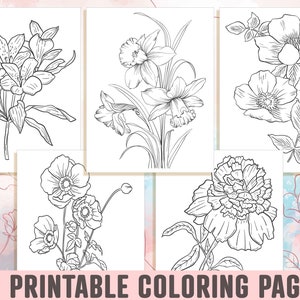 Floral Coloring Pages: 40 Beautiful Coloring Book Designs – Perfect for ...