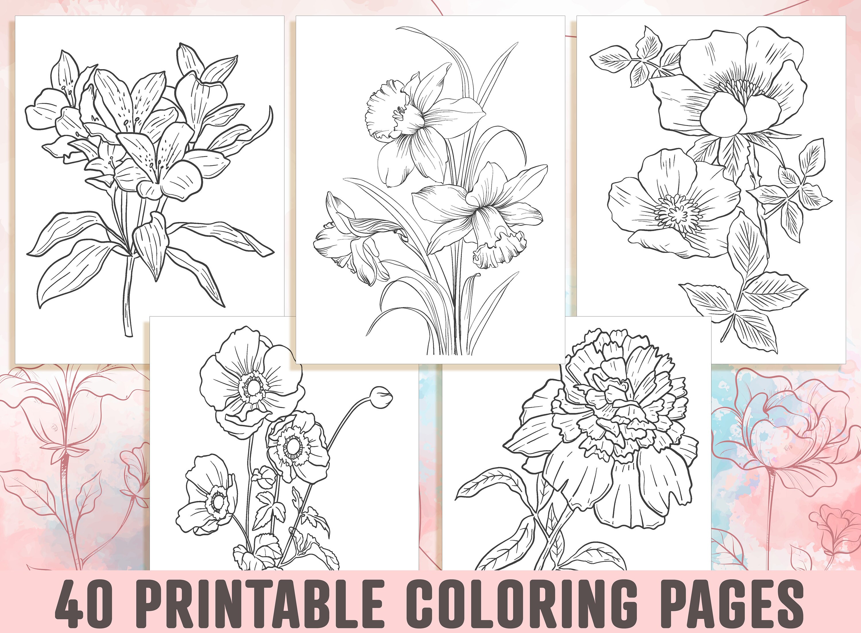 Floral Coloring Pages 40 Beautiful Floral and Flower | Etsy