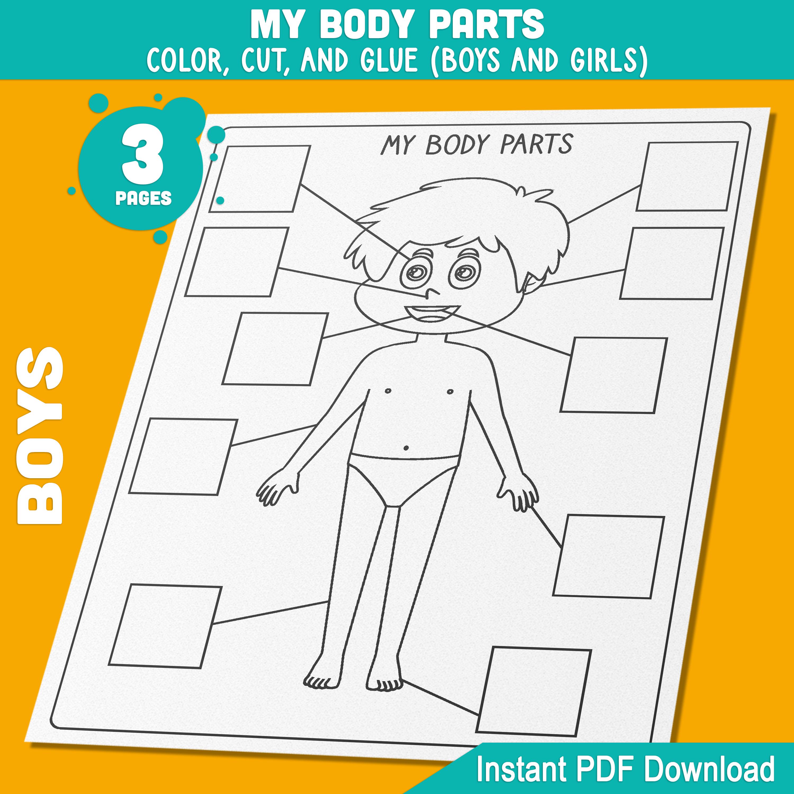 My Body Parts Activities for Preschool, Pre-k: Fun Color, Cut, and Glue ...