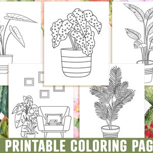 20 Adorable Houseplant Coloring Pages: Delightful Succulents, Cactus ...