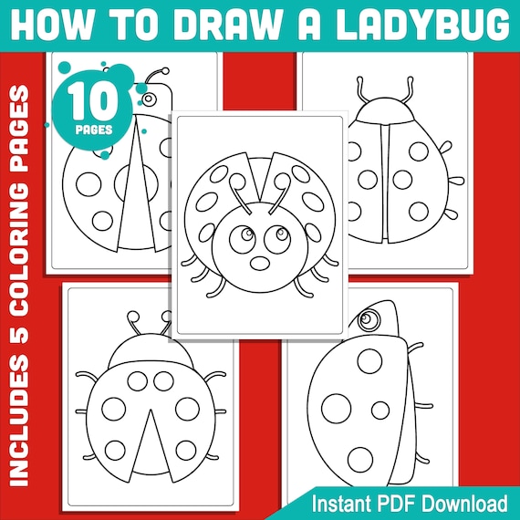 Ladybug Pictures To Draw For Kids