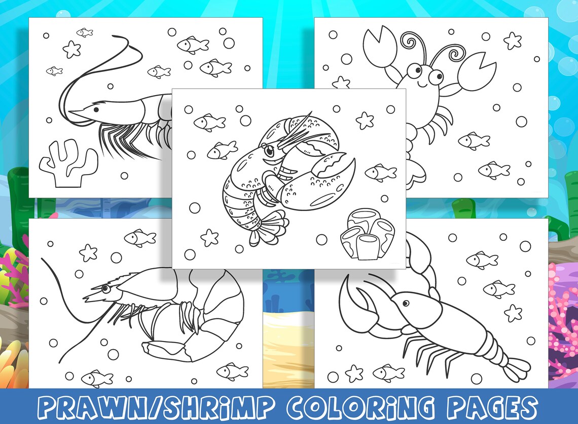 Ocean Delights: Prawn and Shrimp Coloring Adventures 15 Pages of Fun ...
