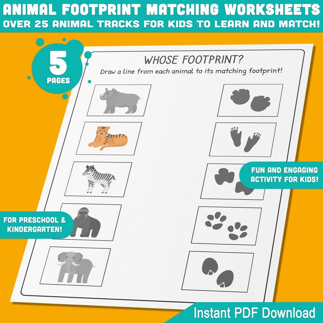 Whose Footprint? Animal Track Matching Activity: 5 Fun Worksheets With ...