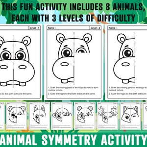 Animal Symmetry Worksheet, Animal Theme Lines of Symmetry Activity, 24 ...