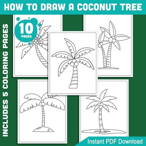 How to Draw a Coconut Tree for Kids: 6-step Guide + 5 Fun Coloring ...
