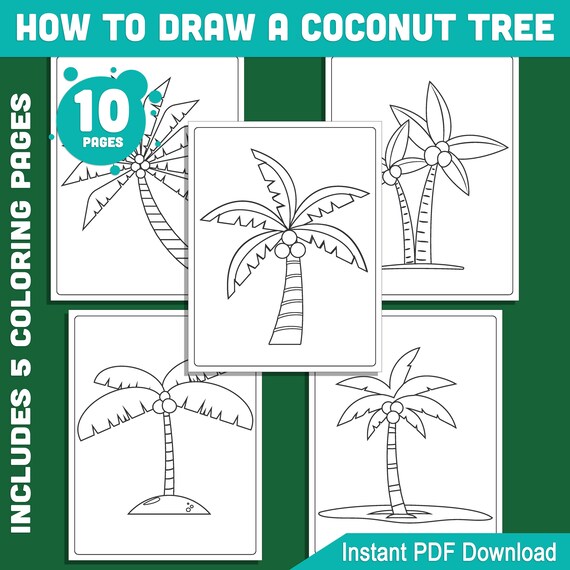 Come Disegnare Una Palma