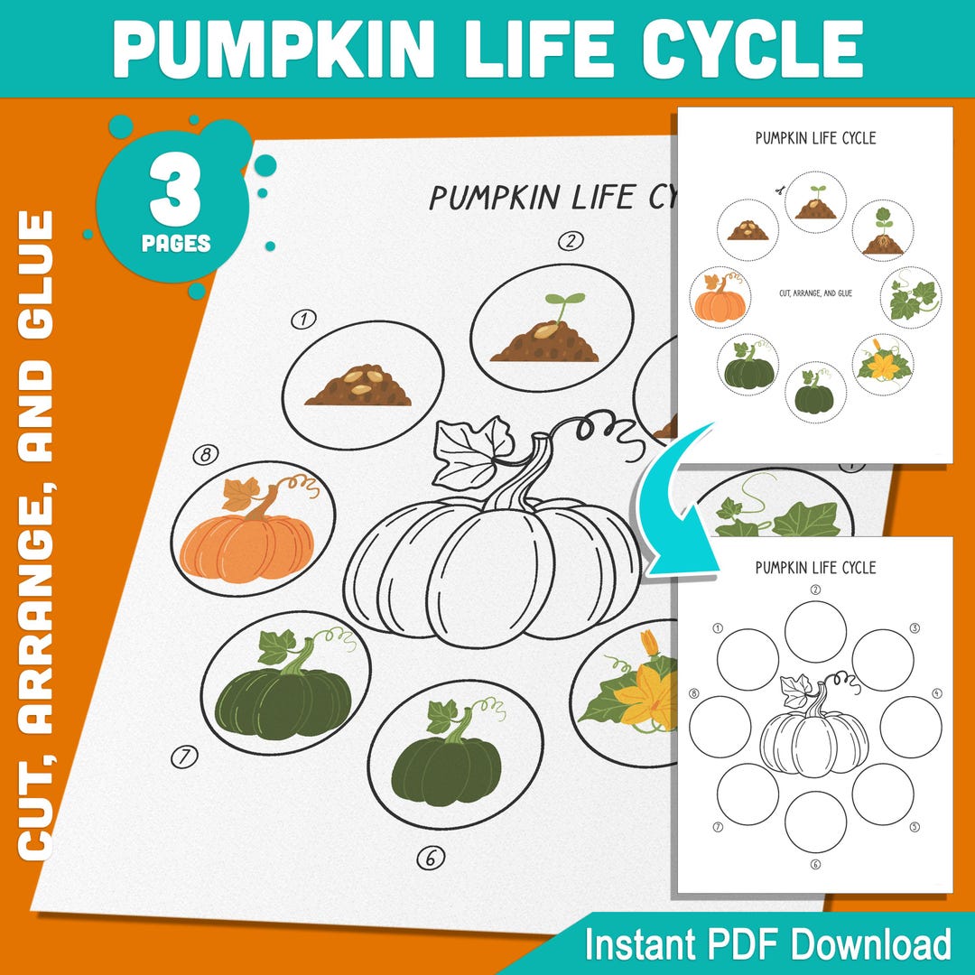 Pumpkin Life Cycle Activity: Cut, Arrange, and Glue 8 Stages of Plant ...