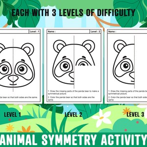 Animal Symmetry Worksheet, Animal Theme Lines of Symmetry Activity, 24 ...