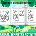 Animal Symmetry Worksheet, Animal Theme Lines of Symmetry Activity, 24 ...