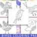 Cute Bird Coloring Pages: 25 Charming Designs for Kids and Adults, Fun ...