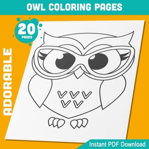 20 Adorable Owl With Glasses Coloring Pages for Preschool, Kindergarten ...