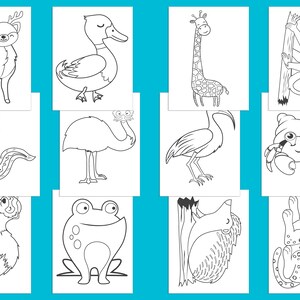 Preschool Coloring Pages 100 Printable Animal Coloring Pages for Boys ...