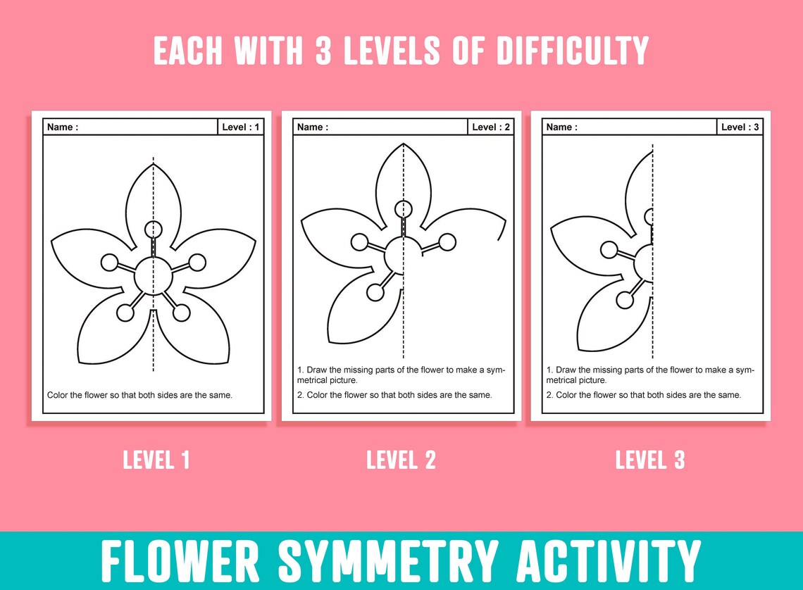 Flower Symmetry Worksheet, Sakura Flower Theme Lines of Symmetry ...