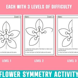 Flower Symmetry Worksheet, Sakura Flower Theme Lines of Symmetry ...