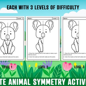 Cute Animal Symmetry Worksheet, Cute Animal Theme Lines of Symmetry ...