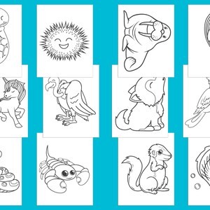 Preschool Coloring Pages 100 Printable Animal Coloring Pages for Boys ...