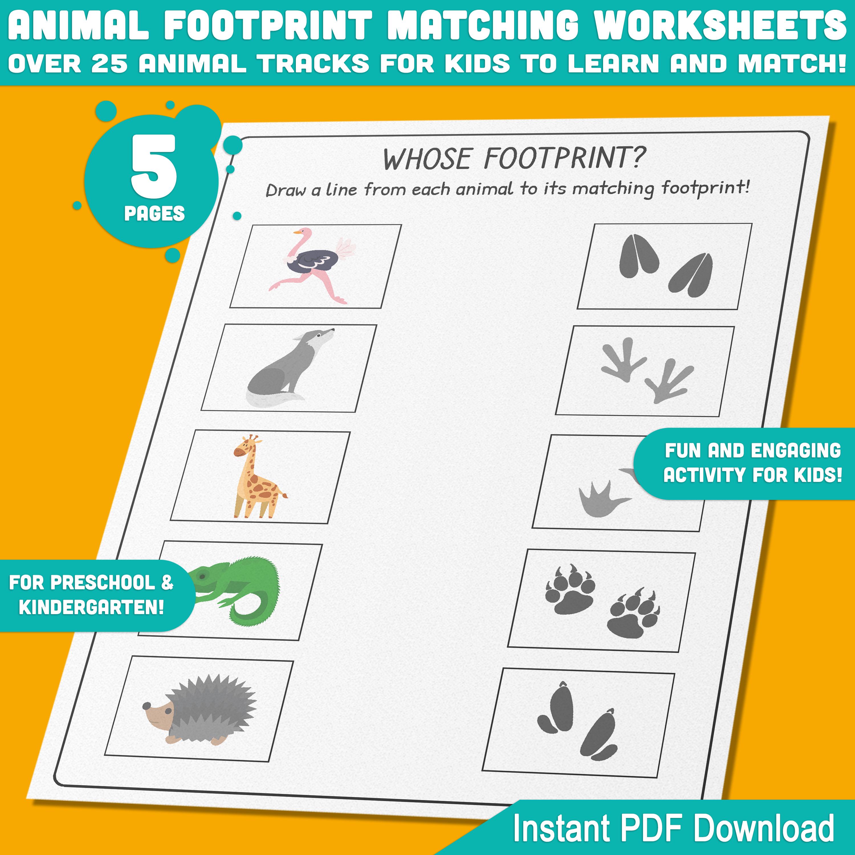 Whose Footprint? Animal Track Matching Activity: 5 Fun Worksheets With ...