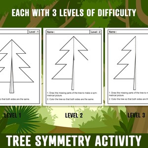 Tree Symmetry Worksheet, Tree Theme Lines of Symmetry Activity, 24 ...
