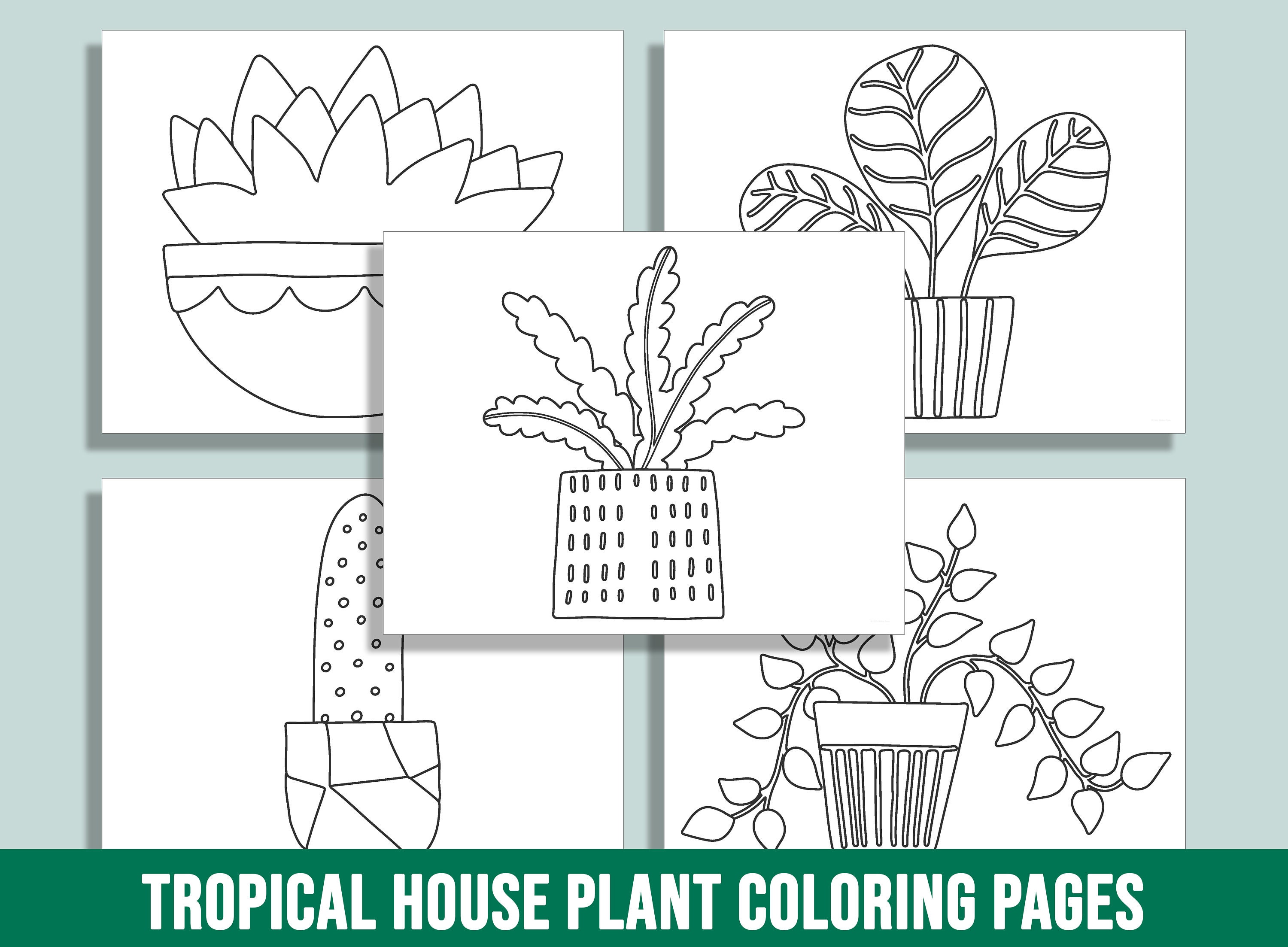 Tropical House Plant Coloring Pages: 30 Botanical Coloring Book Designs ...