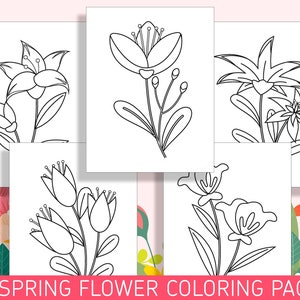 Spring Into Color: 25 Flower Coloring Sheets for Preschool and ...