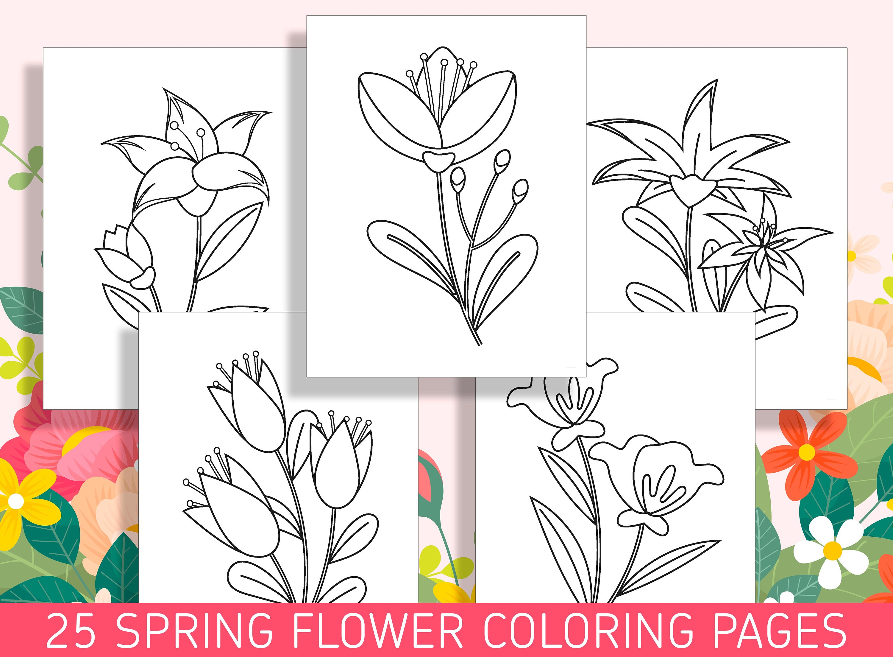 Spring Into Color: 25 Flower Coloring Sheets for Preschool and ...