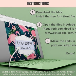 Flamingos in Different Poses Binder Cover, 10 Printable & Editable ...